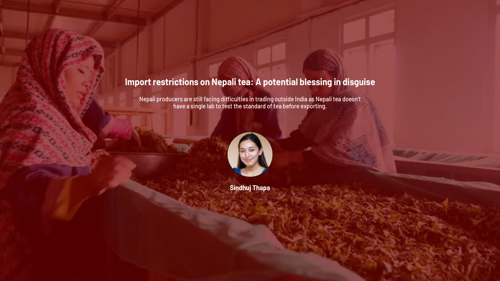 Import Restrictions On Nepali Tea A Potential Blessing In Disguise import-restrictions-on-nepali-tea-a-potential-blessing-in-disguise